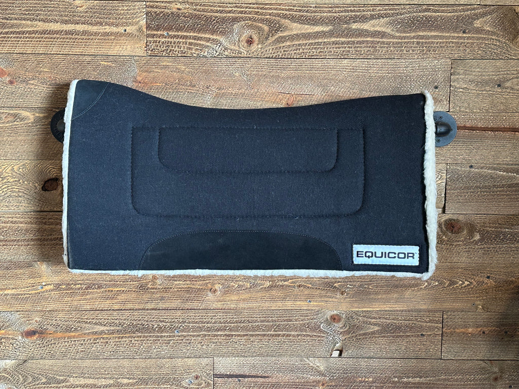 EQUICOR Trainer Pro Pad --- NEW DESIGN